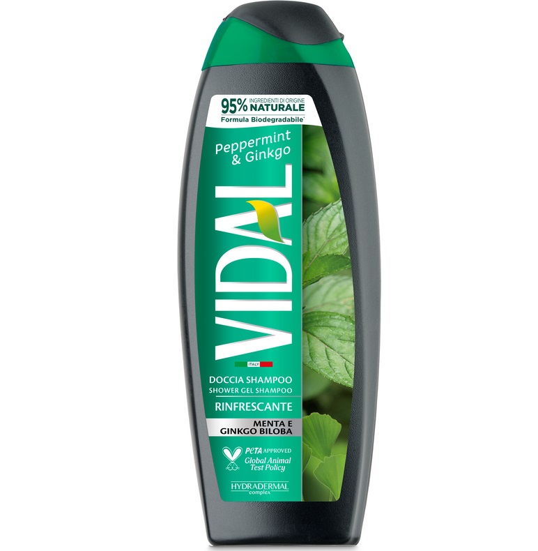 VIDAL DOCCIA SHAMPOO MINT & GINKGO 250ML - mondoingrosso.it VIDAL DOCCIA SHAMPOO MINT & GINKGO 250ML - mondoingrosso.it